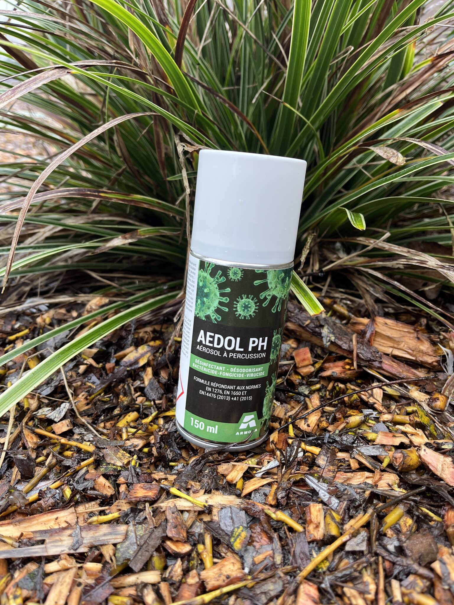 AEDOL PH - RomWaterfowl
